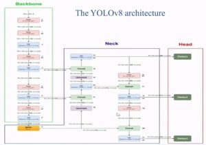 YOLOv8: Nhận diện đối tượng với hiệu suất vượt trội - AIcandy